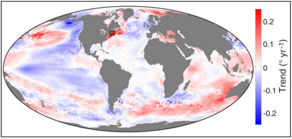 The contrasting fortunes of Atlantic cod in warming oceans - Carbon Brief