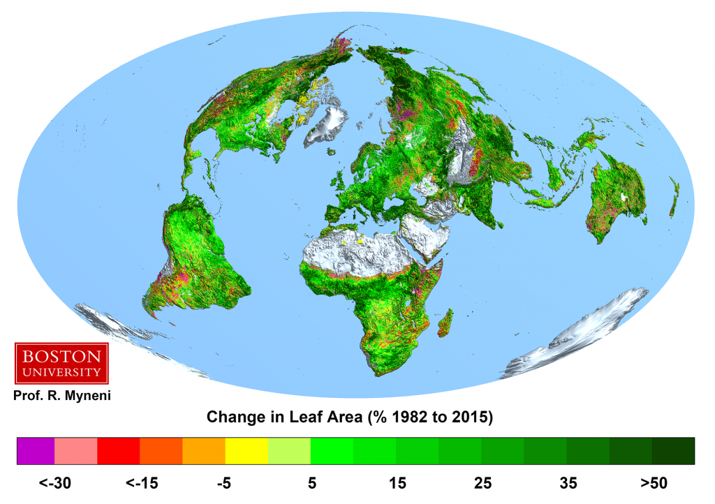 Rising CO2 has 'greened' world's plants and trees - Carbon Brief