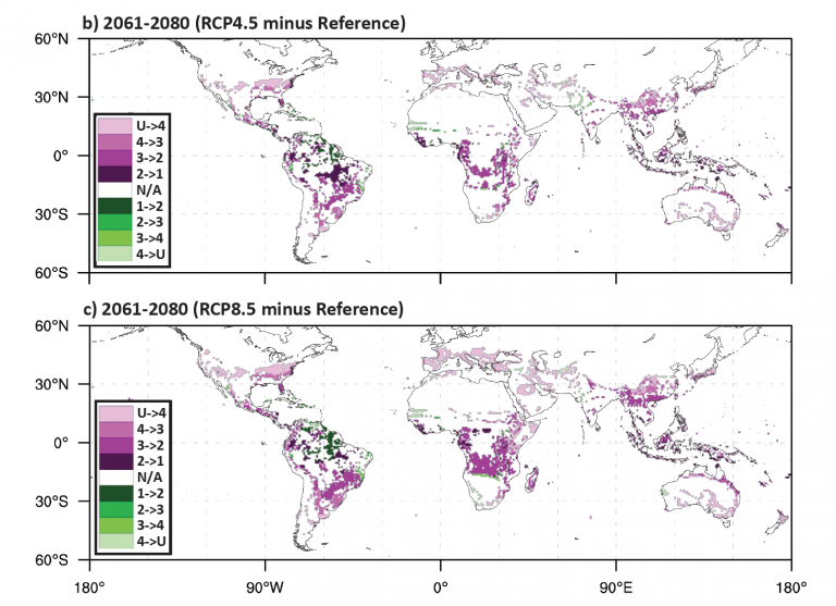 Climate change to widen range of disease-carrying mosquitoes