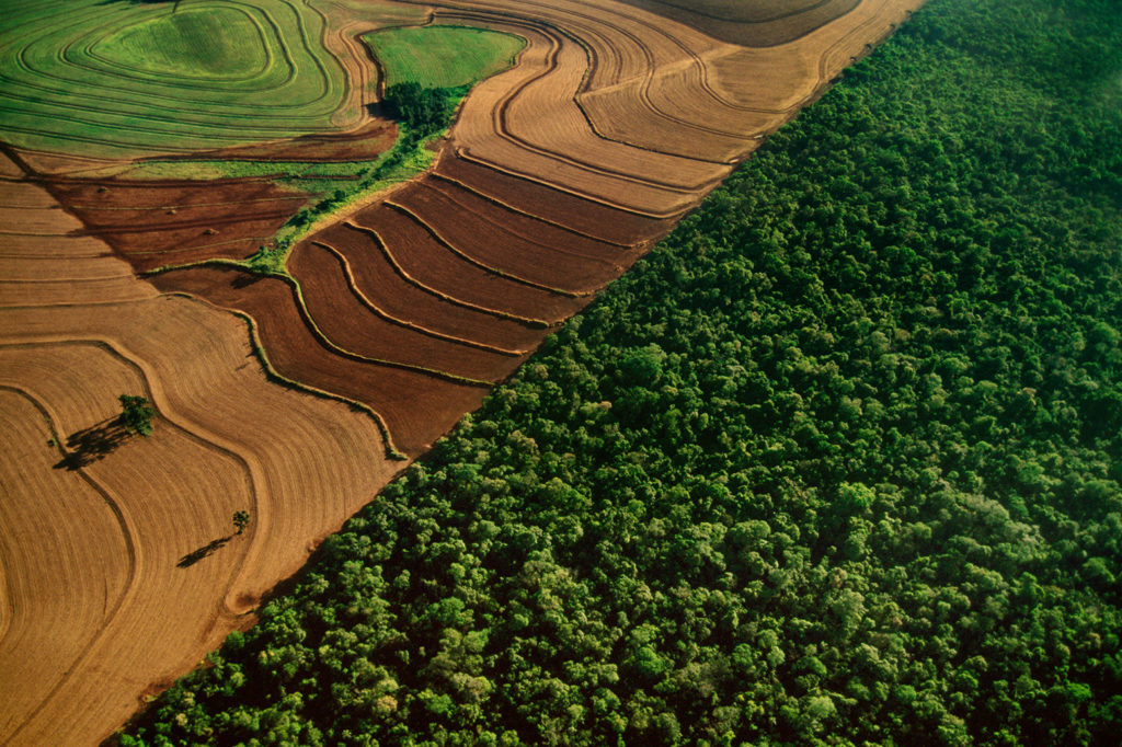 The Carbon Brief Profile: Brazil - Carbon Brief