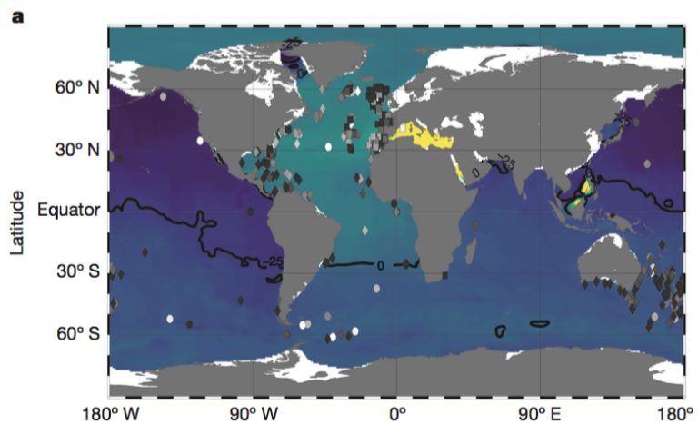 Acidification could leave oceans ‘uninhabitable’ for cold-water corals ...