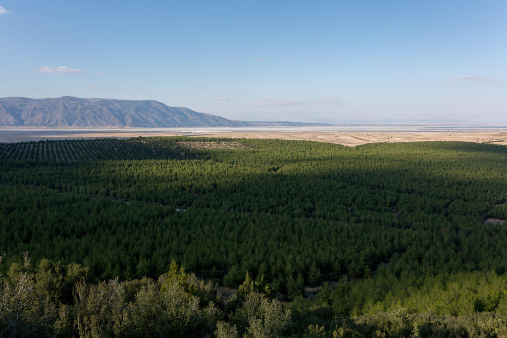 The Carbon Brief Profile: Turkey - Carbon Brief