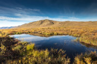 How predictable is the first ice-free Arctic summer?