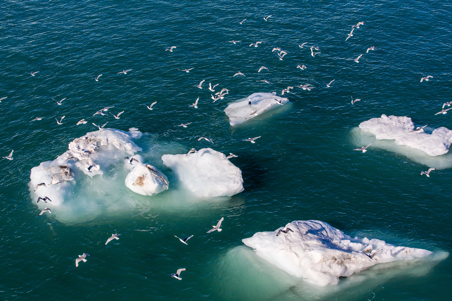 Explainer: How 'Atlantification' is making the Arctic Ocean saltier and ...
