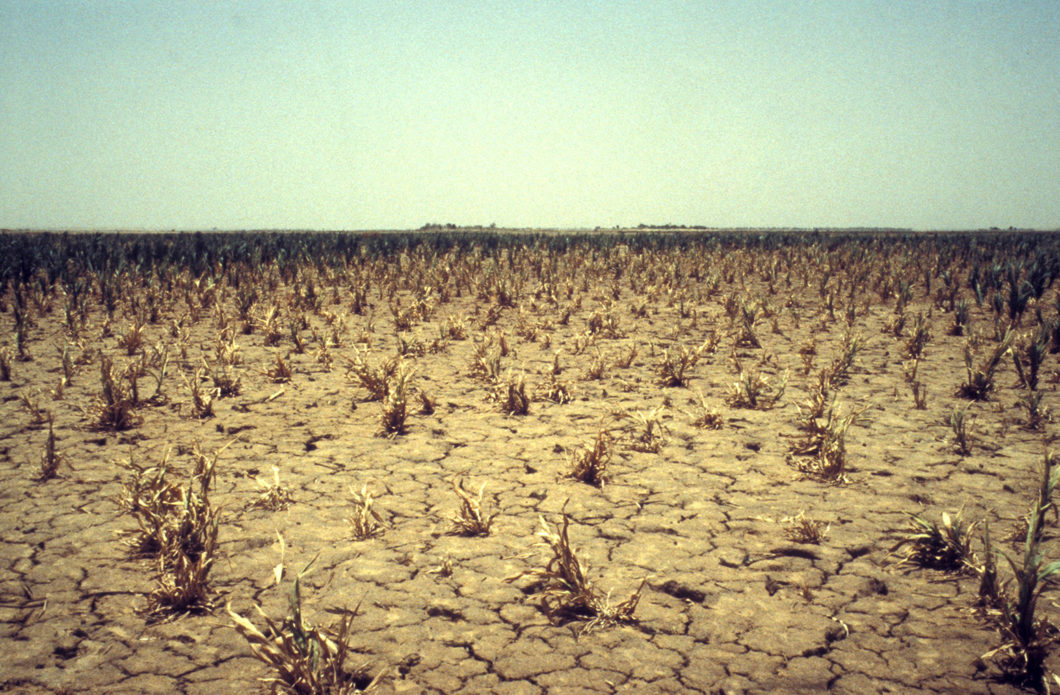 Explainer: Nine ‘tipping points’ that could be triggered by climate ...