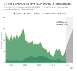 In-depth Q&A: How will tree planting help the UK meet its climate goals?
