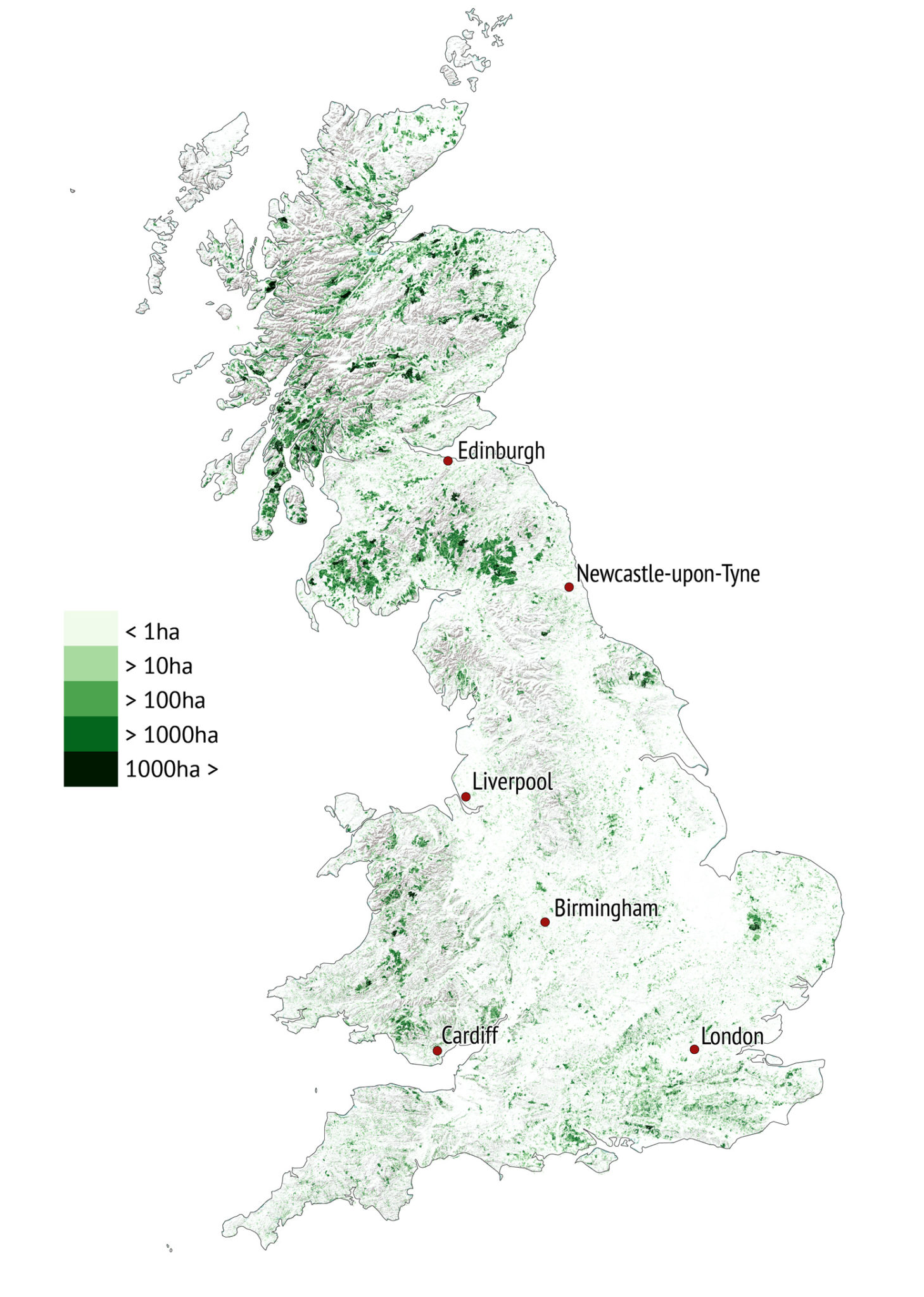 In-depth Q&A: How will tree planting help the UK meet its climate goals?