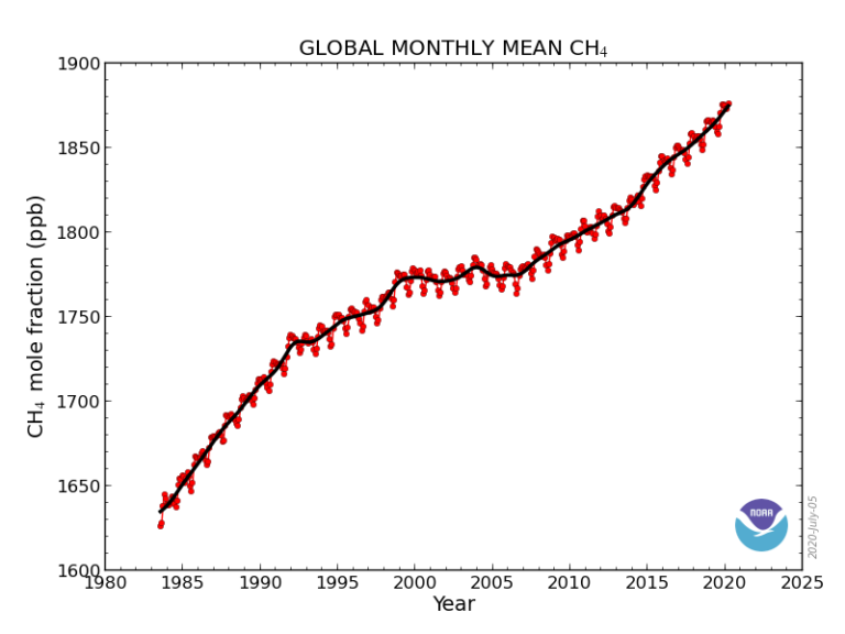 Scientists concerned by ‘record high’ global methane emissions