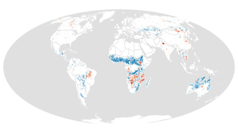 Explainer: How climate change is affecting wildfires around the world