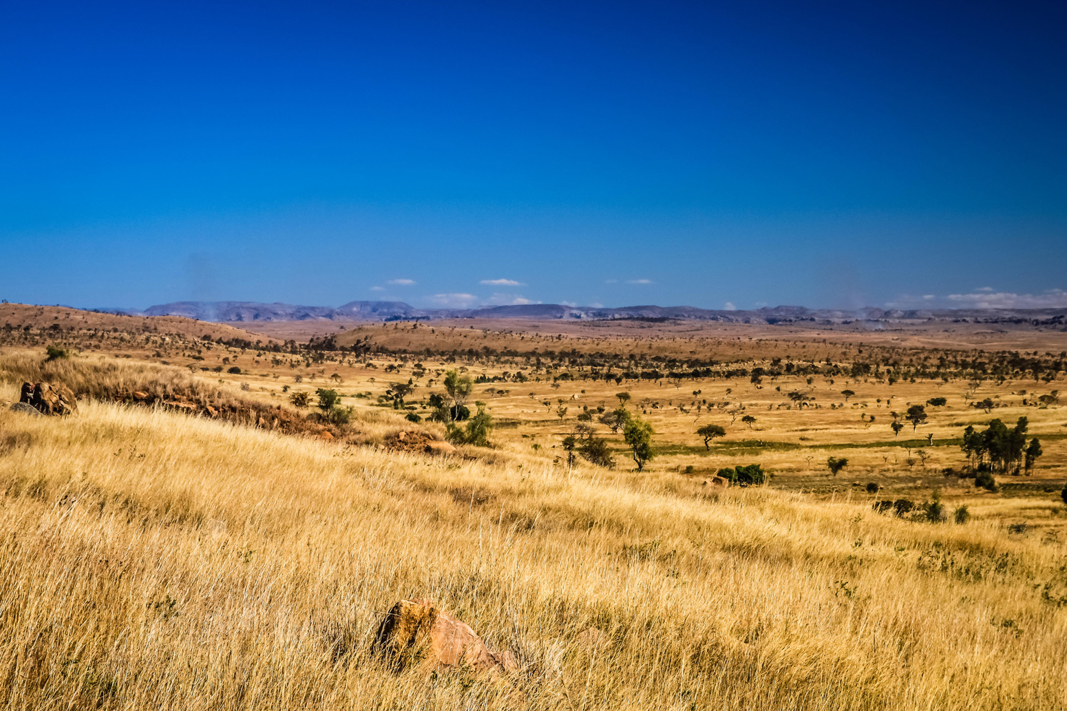 Steppe Climate In Africa