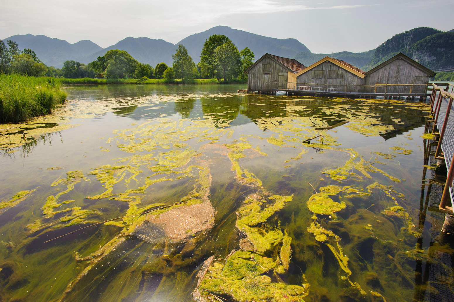 Climate change could cause ‘irreversible impacts’ to lake ecosystems ...