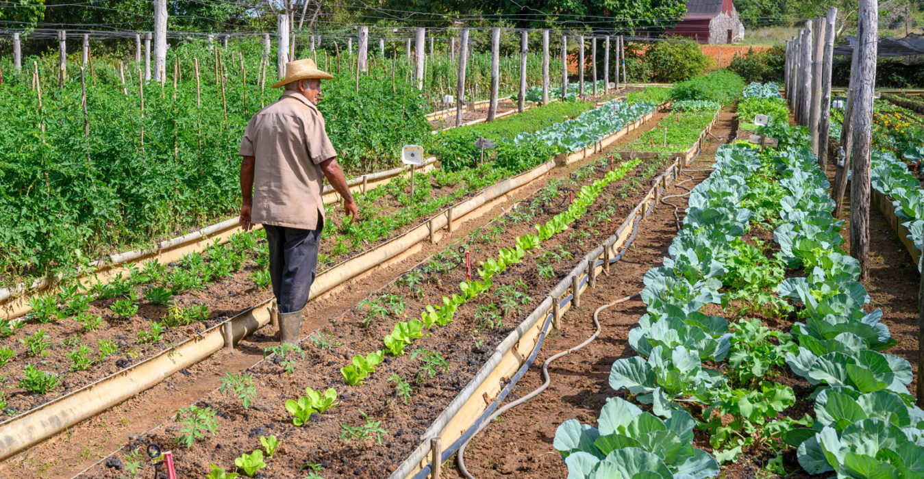 Climate justice: The challenge of achieving a ‘just transition’ in ...