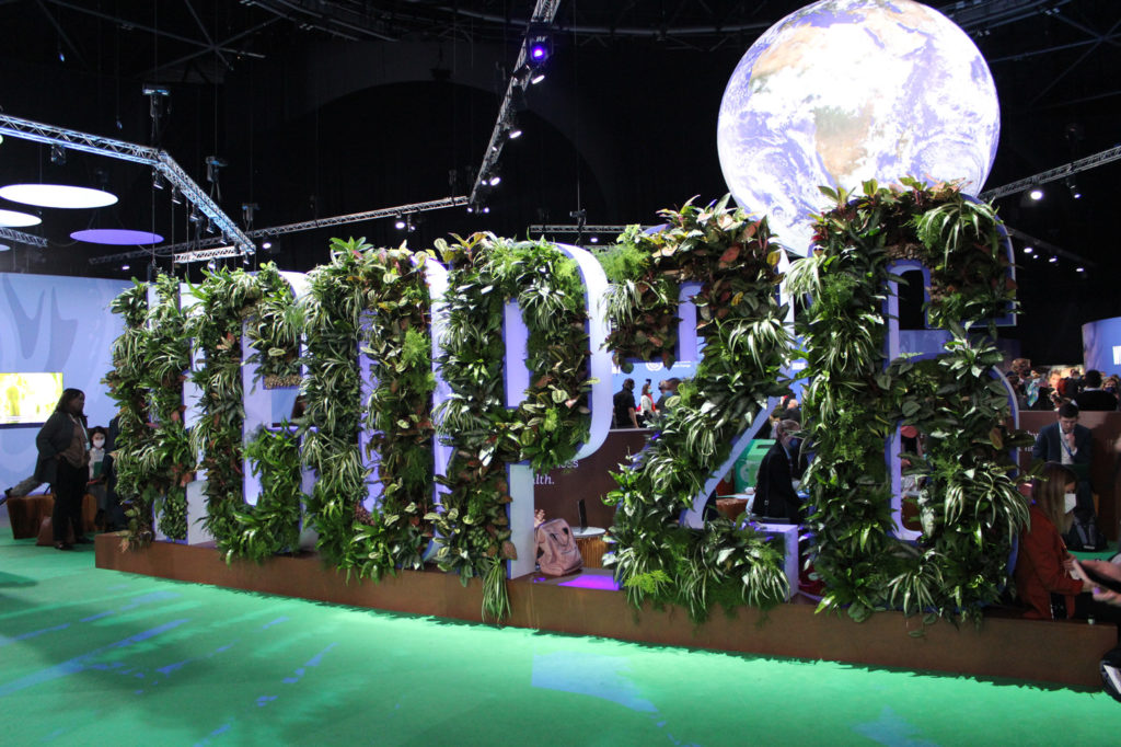 Q&A: Can ‘nature-based solutions’ help address climate change? - Carbon ...