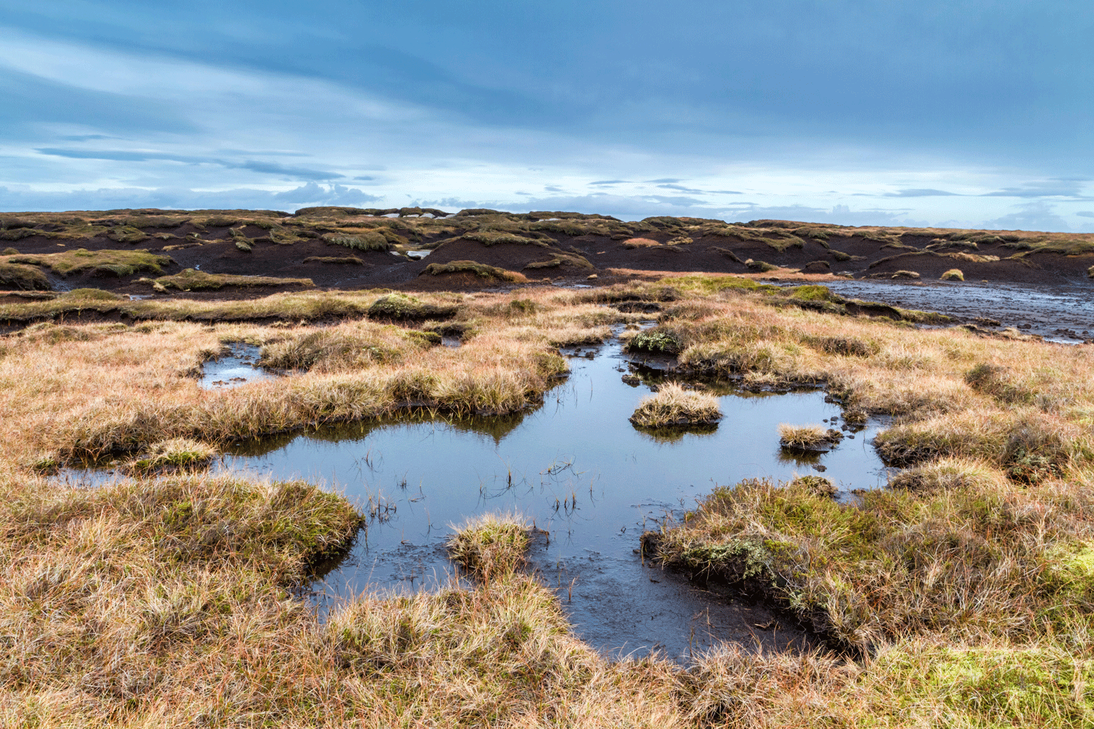 Guest post: Are the world’s peatlands better protected after COP26 ...