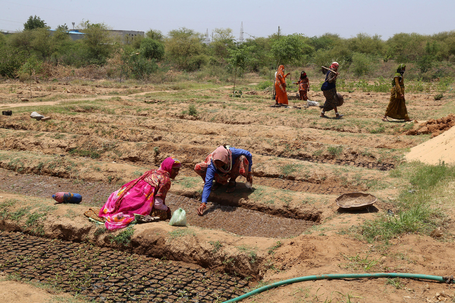 Guest post: How much could restoring forests reduce India's emissions ...