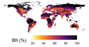Explainer: Can climate change and biodiversity loss be tackled together ...