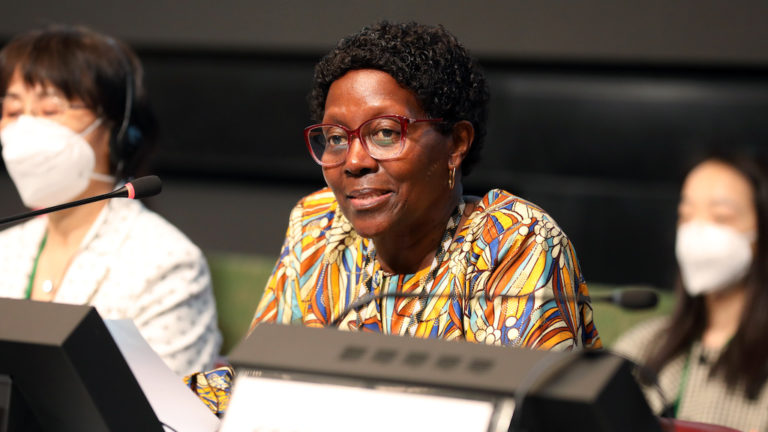 COP15: Key outcomes for nature loss and climate change from UN talks in ...