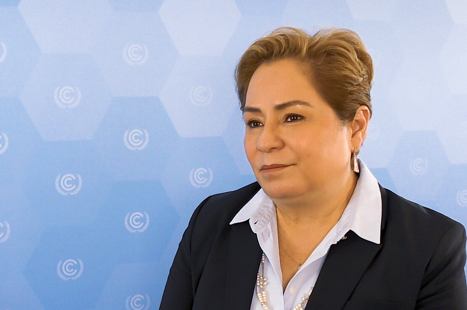 The Carbon Brief Interview: UN climate chief Patricia Espinosa - Carbon ...