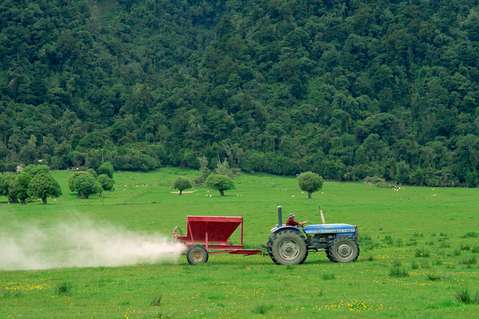 Q&A: What does the world’s reliance on fertilisers mean for climate ...