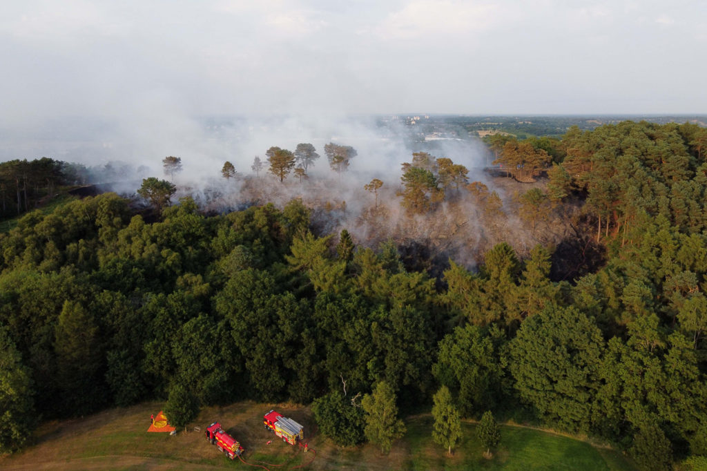 Guest post: A Met Office review of the UK’s record-breaking summer in ...