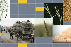 In focus - Carbon Brief