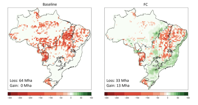 Analysis: Bolsonaro election loss could cut Brazilian Amazon ...
