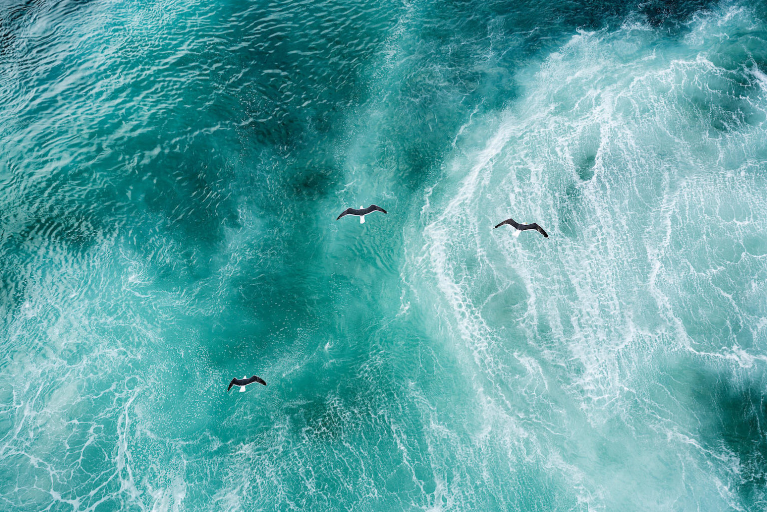 Falling crop yields under warming could see ‘rapid’ decline in ...