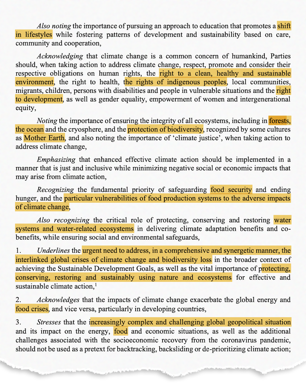 COP27: Key outcomes for food, forests, land and nature at the UN ...