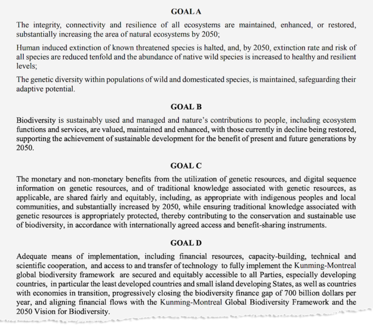 COP15: Key outcomes agreed at the UN biodiversity conference in ...