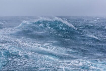 Q&A: What does the ‘High Seas Treaty’ mean for climate change and biodiversity? - Carbon Brief