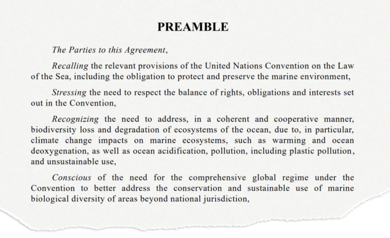 Q&A: What does the ‘High Seas Treaty’ mean for climate change and ...