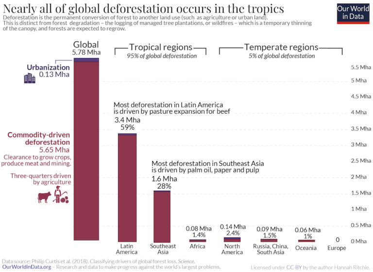 Q&A: What does the EU’s new deforestation law mean for climate and ...