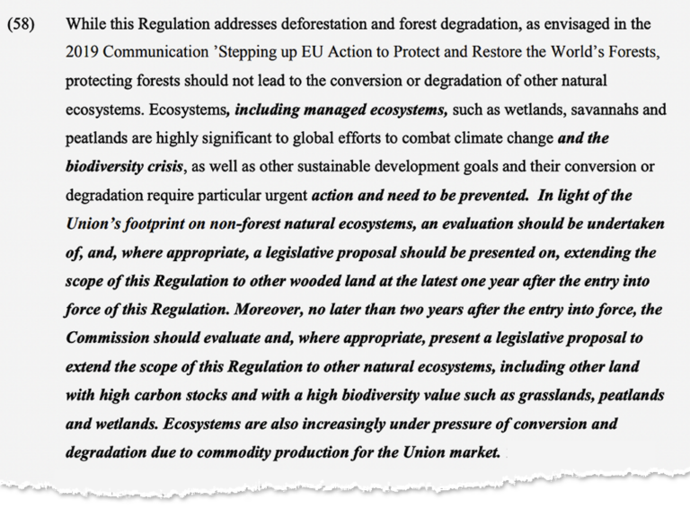 Q&A: What does the EU’s new deforestation law mean for climate and ...