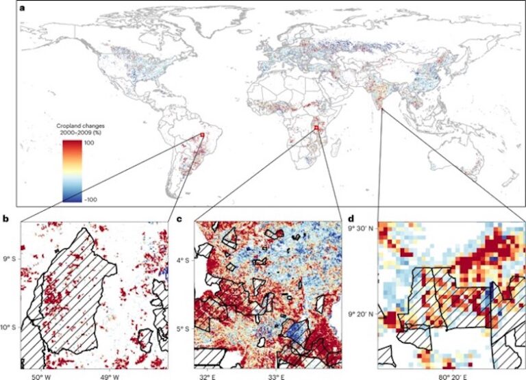 ‘Alarming’ expansion of cropland in protected areas threatens ...
