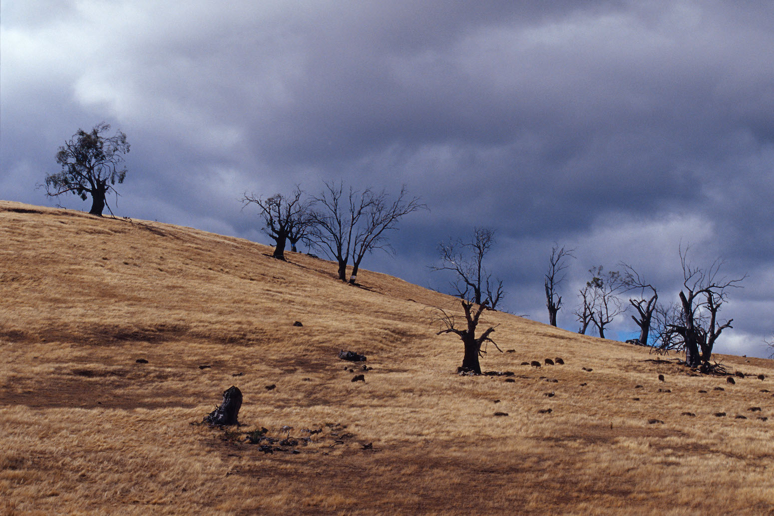 Guest post: How ‘locally led’ adaptation can help address climate ...