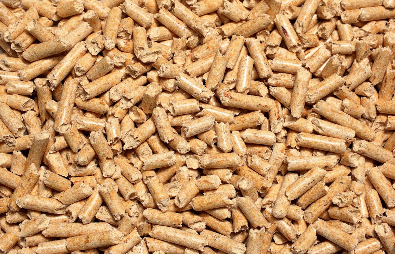 Q&A: What does the UK’s new biomass strategy mean for net-zero ...