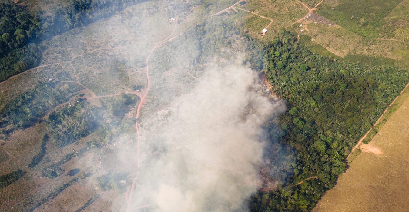 Fires could lock vast parts of the Amazon into ‘treeless state ...