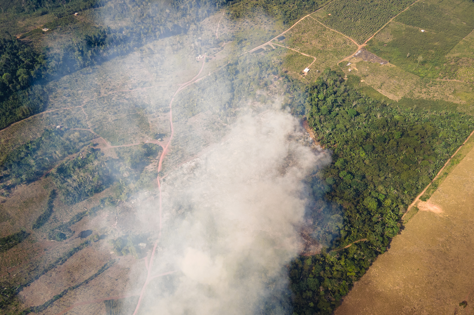 Q&A: What the Amazon Summit means for deforestation and climate change ...