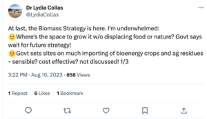 Q&A: What does the UK’s new biomass strategy mean for net-zero ...