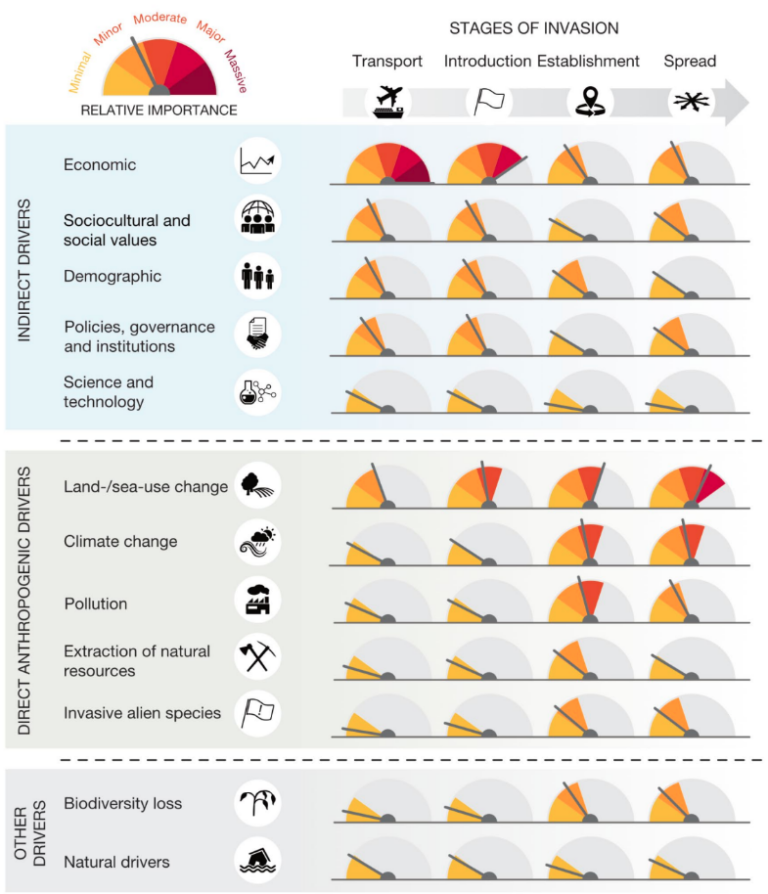 Q&A: Major global report reveals how climate, land use and trade drive ...