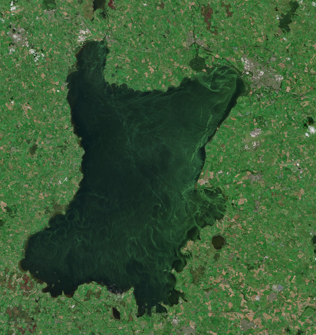 Lough Neagh: How climate change intensified toxic algae on the UK’s ...