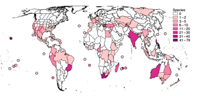Kew report: Five key extinction risks facing the world’s plants and ...