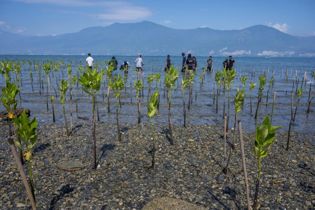 Guest post: Climate adaptation becomes less effective as the world ...