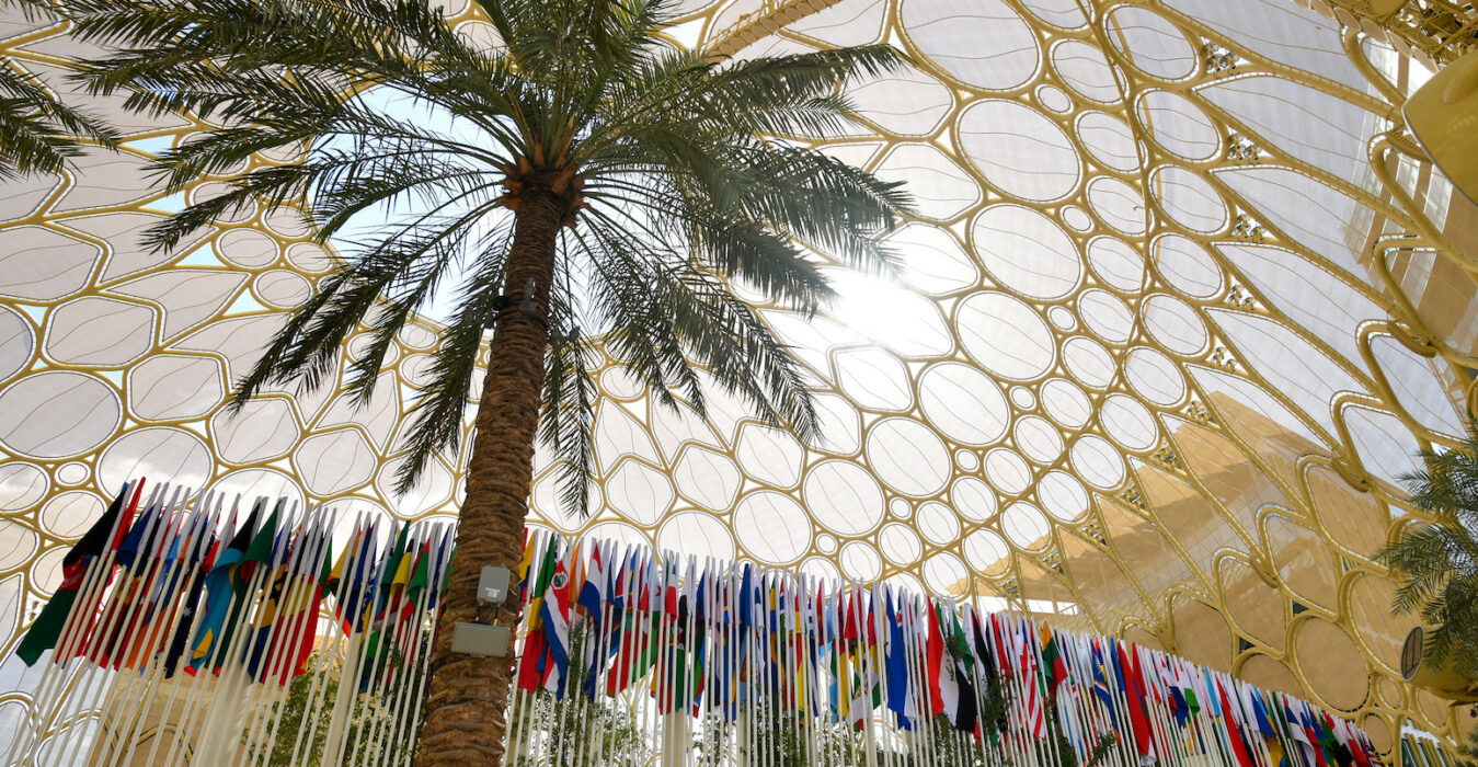 COP28: Key outcomes for food, forests, land and nature at the UN ...
