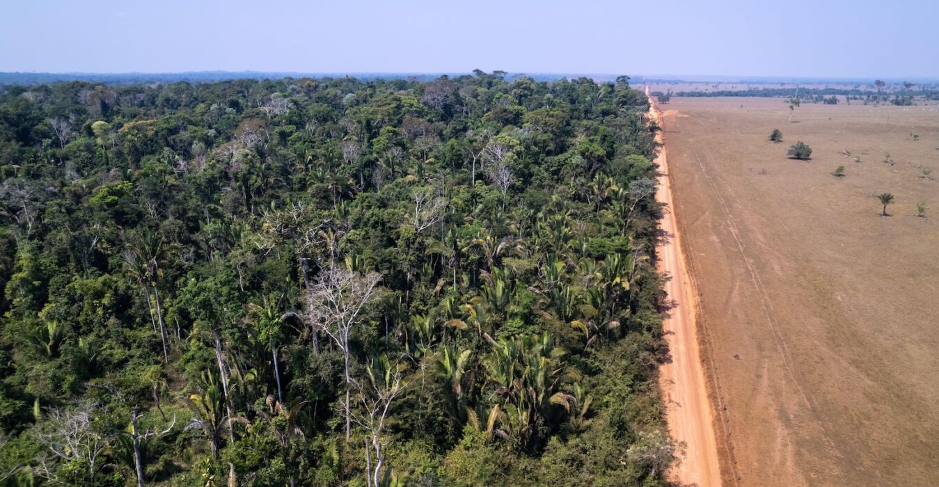 ‘Unprecedented’ stress in up to half of the Amazon may lead to tipping ...