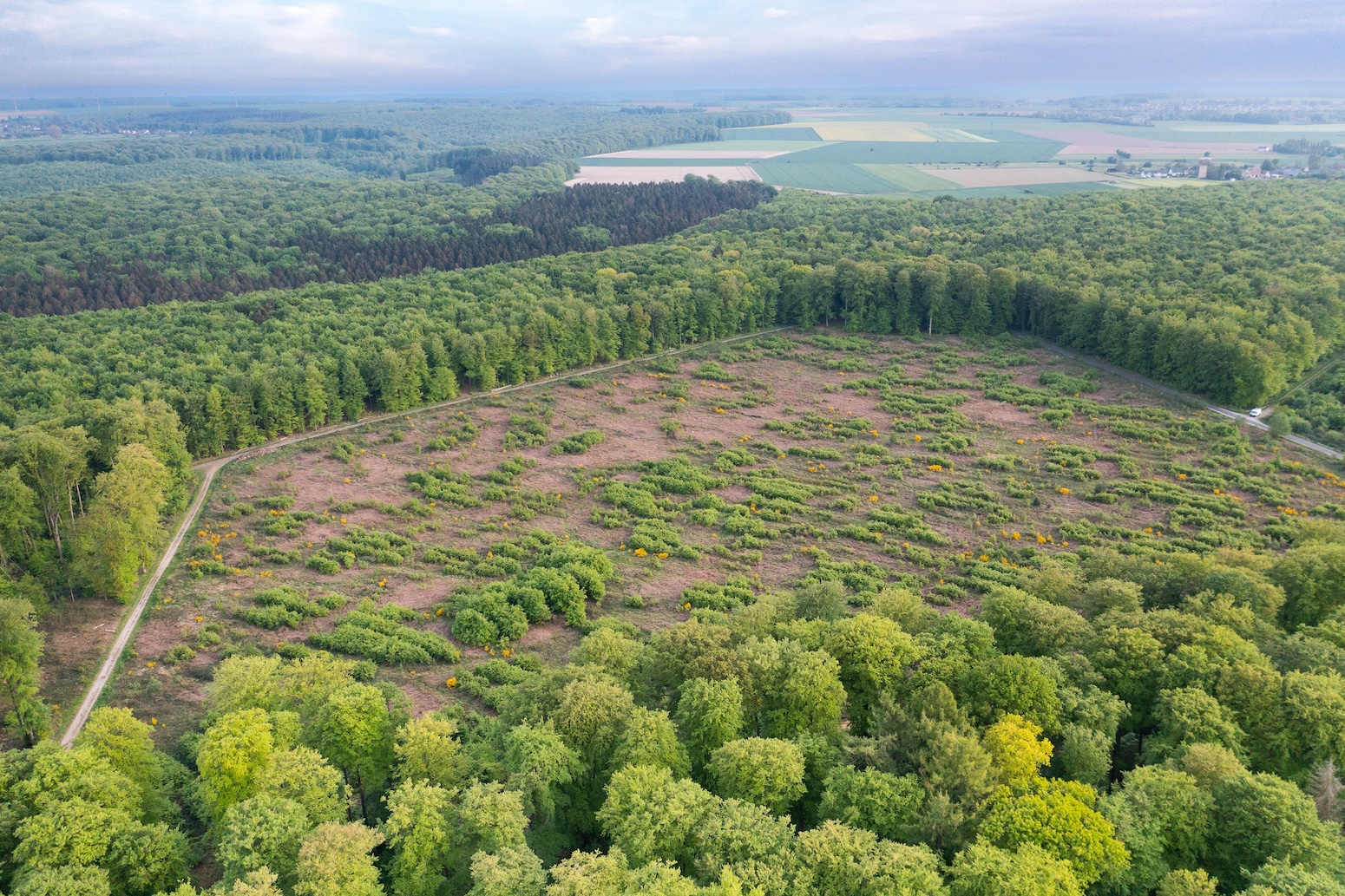 EU spending up to €48bn on nature-harming activities each year, report ...