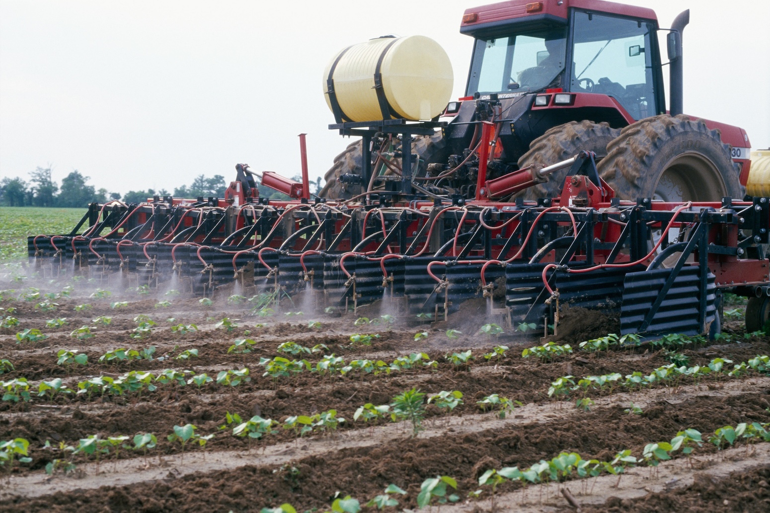 Q&A: The evolving debate about using genetically modified crops in a ...