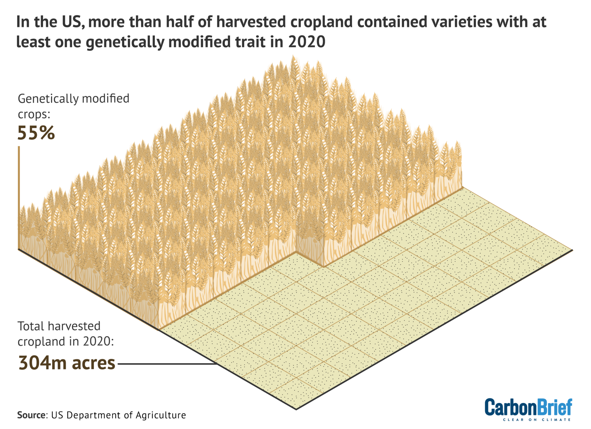 Q&A: The evolving debate about using genetically modified crops in a ...