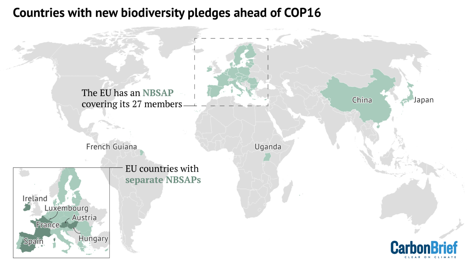 COP16: Tracking country pledges on tackling biodiversity loss - Carbon ...