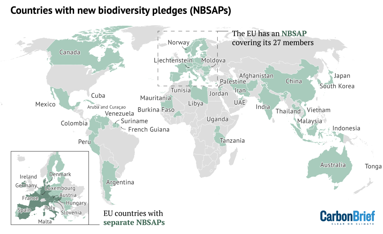 COP16: Tracking country pledges on tackling biodiversity loss - Carbon ...